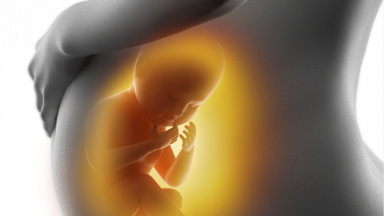 Crown Rump Length - 100% best calculator